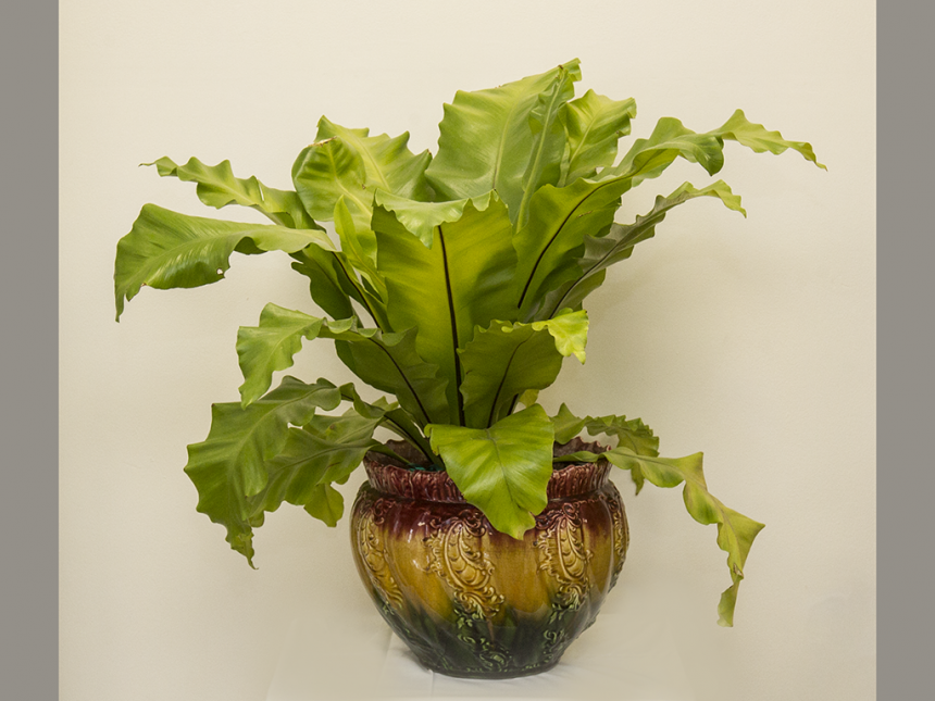 veebees – Furniture & Home Decor