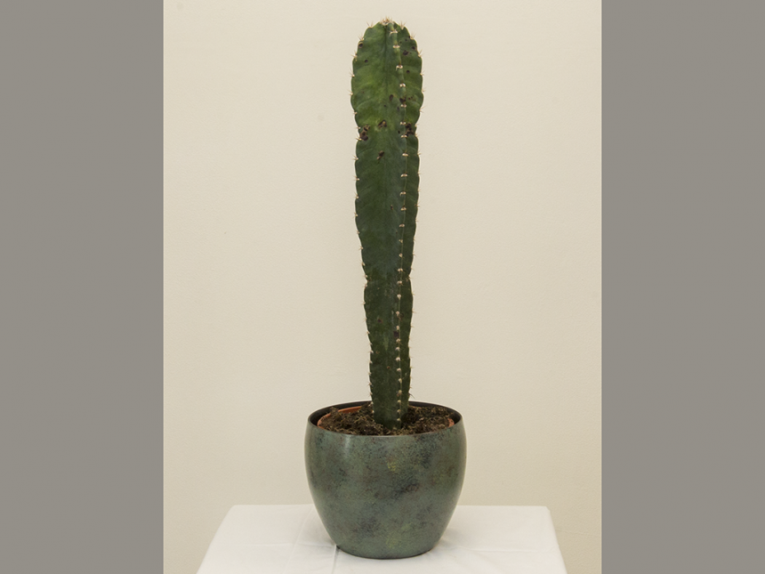 veebees – Furniture & Home Decor